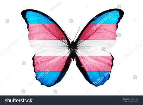 Butterfly Sex Images Browse Stock Photos Vectors Free Download With Trial Shutterstock