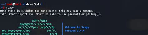 Python渗透测试之Scapy模块 情报收集 scappy 渗透测试 CSDN博客