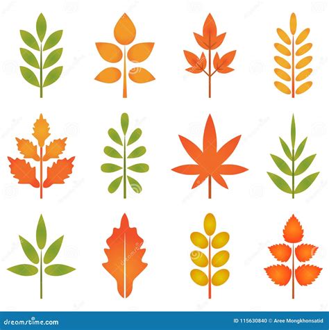 Cute Leaves Vector Stock Vector Illustration Of Isolated 115630840