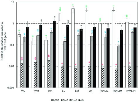 Relative Abundance Of Functional Genes In Relation To The16s Rrna Gene