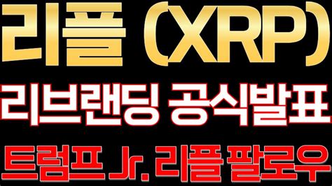 리플 大폭등 시나리오 내일부터 이렇게 바뀐다 🔥 리플 비트코인 트럼프 일론머스크 Sec 리플전망 Xrp 알트추천 🔥