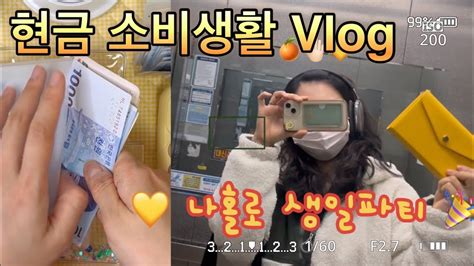 흥청망청 현금소비 Vlog 나홀로 생일파티 🎉 현금생활 챌린지 Youtube