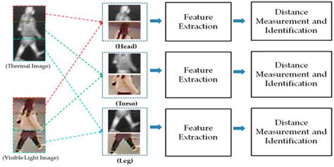 Sensors Special Issue Human Detection Identification And Recognition Of Gesture And