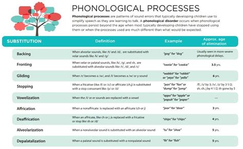 Phonological Processes Liricare