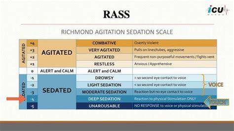 Rass Score Mohamed Kamal