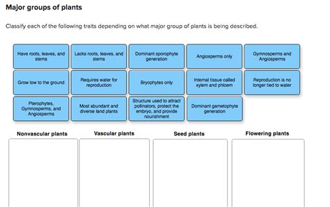 solved major groups of plants classify each of the following