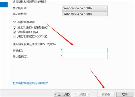 部署windows Server2019域windows Server2019安装域名服务器的步骤 Csdn博客