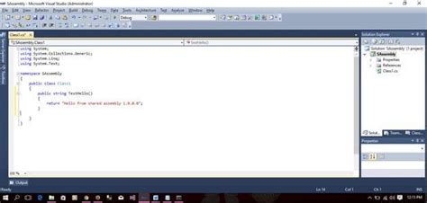 Assemblies In NET Application