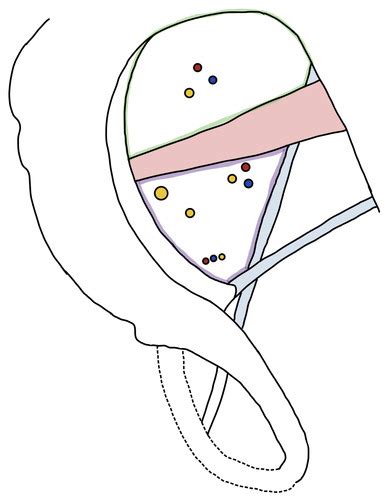 Topografie Flashcards Quizlet