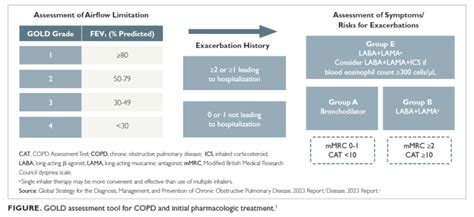 Strategies For Preventing Copd Exacerbations In Primary Care Settings