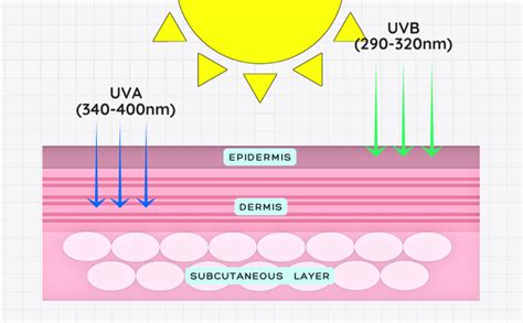 Understanding Uva And Uvb The Key To Smarter Sun Protection Know To Glow Understanding Uva And Uvb The Key To Smarter Sun Protection Know To Glow
