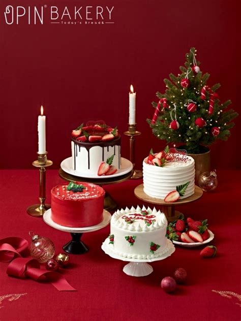 오핀 베이커리 2022 크리스마스 케이크 사전 예약 시작 머니투데이