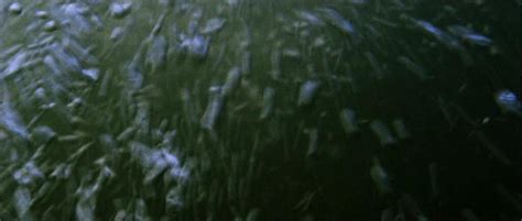 Фото: Невинность / Кадр из фильма «Невинность» (2004) #2982786