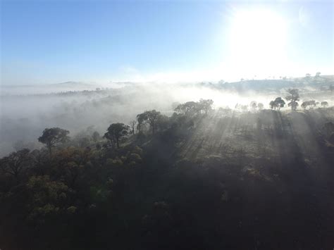Oc Sunrise Over The Morning Fog Wallaroo Nsw Aus 4000x3000 Rearthporn