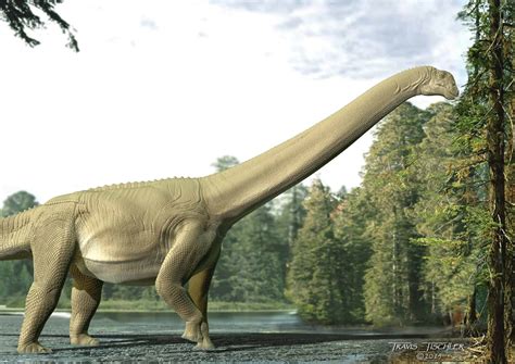 Saurpod Dinosaurs Last Meal Perfectly Preserved For 95 Million Years