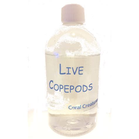 500ml Harpacticoid Copepods