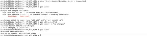 Git Lifecycle With Simple Example By Giri Babu Nov 2023 Medium