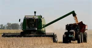 La Soja Extiende La Debilidad De Precios Y Su Valor Es El Más Bajo En Cinco Años Infobae