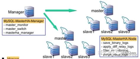 Mysql数据库及其分支版本详细介绍 墨天轮