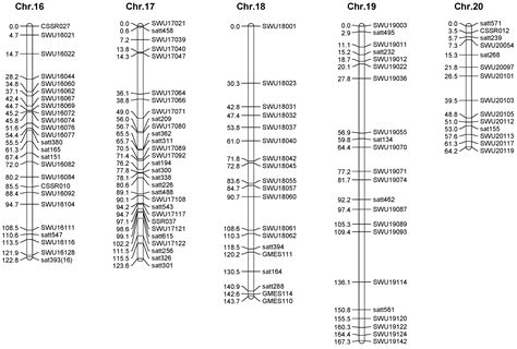 Construction Of Genetic Map And Qtl Mapping For Seed Size And Quality Traits In Soybean Glycine
