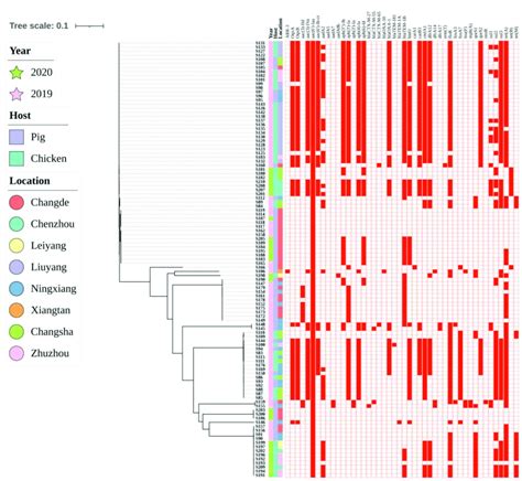 Bayesian Phylogenetic Analysis Of 107 Isolates Left And The Download Scientific Diagram