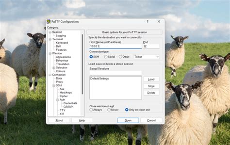 How To Configure Ssh Keys On Ubuntu 2404
