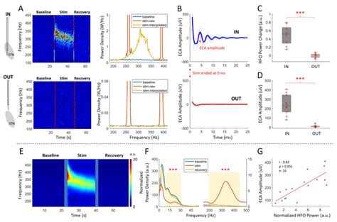 Hfo And Resonant Evoked Compound Activity Are Observed During Download Scientific Diagram