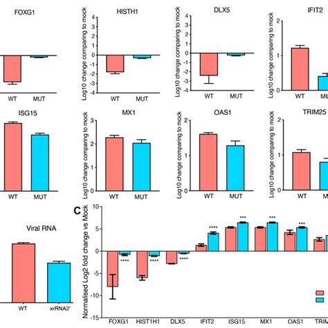 Functional Classification Of Differentially Expressed Host Genes That