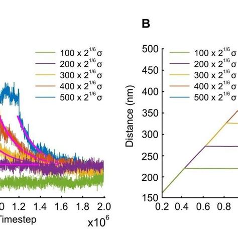 Apms Extensional Relaxation Properties At Different Extension Download Scientific Diagram