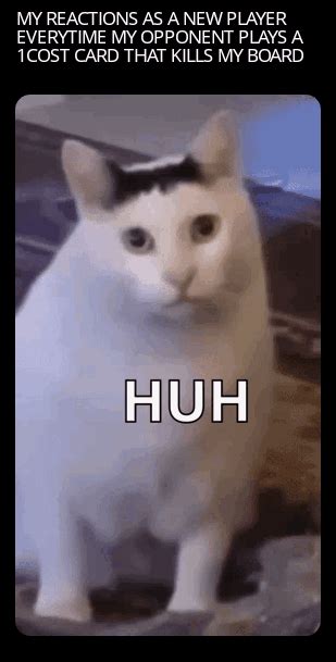 Newbie Seeking Guidance Rlegendsofruneterra