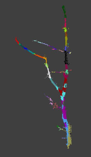 segmentation of the natural tree by colouring the merged octree cells