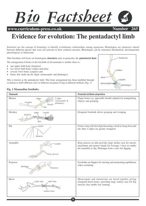 Evidence For Evolution The Pentadactyl Limb Curriculum Press