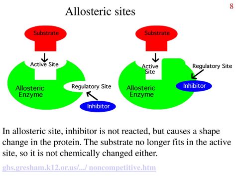 Ppt Basic Enzymology Powerpoint Presentation Free Download Id364307