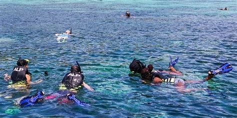 10 Best Things To Do In North Goa Trodly