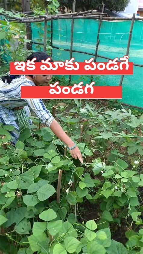 Jyoshna Vlog Jyoshnavlogs • Instagram Photos And Videos