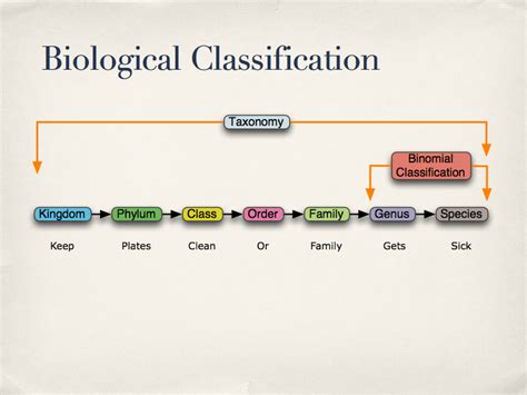Binomial Classification Bgcse Science