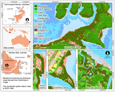 Remote Sensing Special Issue Remote Sensing Of Mangroves Observation And Monitoring
