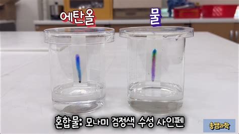 용매의 종류에 따른 종이 크로마토그래피 결과 비교하기 Youtube