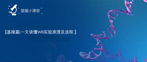 【星耀小课堂】基操篇 一文读懂wb实验原理及流程 知乎