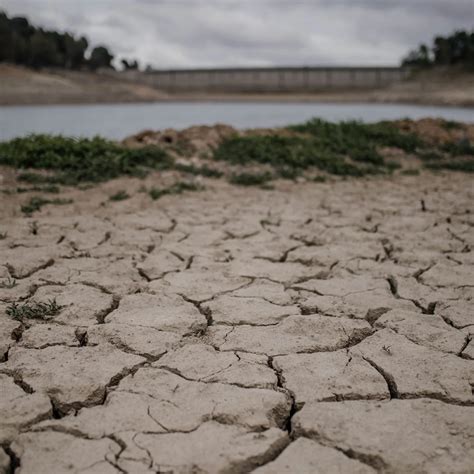 El Bcra Usará El Nuevo Ipc Nacional De Indec Para Seguir La Política De