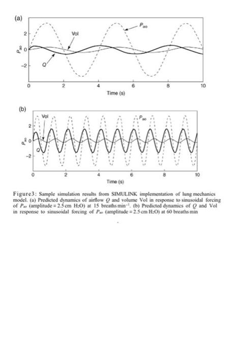 Title Tidal Volume Estimation To A Patient In The