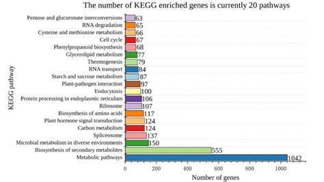 The Top 20 Mikc Target Gene Related Kegg Pathways Download Scientific Diagram
