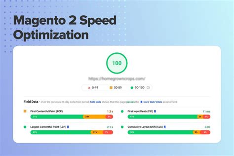How To Speed Up Magento 2 In 2023 32 Performance Fixes Onilab Blog