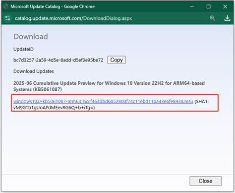 Instant Methods To Remove Blank Screen In Windows Update