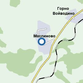 село Маслиново