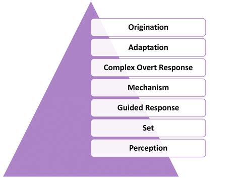What Is Set In Psychomotor Domain At Jackson Jewell Blog