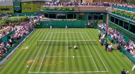 Protestors Invade Wimbledon Court Throw Confetti