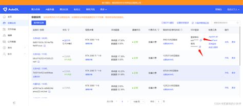autodl使用教程（附扩散模型测试） autodl怎么用 csdn博客
