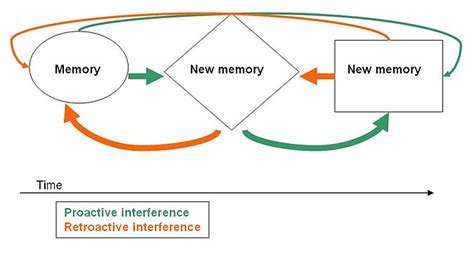 63 Forgetting And False Memory Social Sci Libretexts
