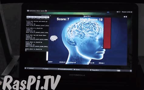 Eeg Archives Raspberry Pi